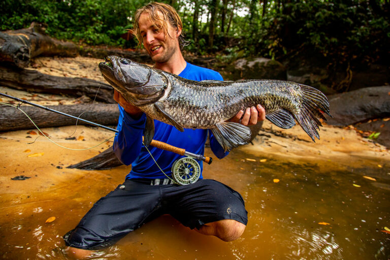 Amazonie : A la pêche de l'Aïmara en Guyane Française - DHD-Laïka